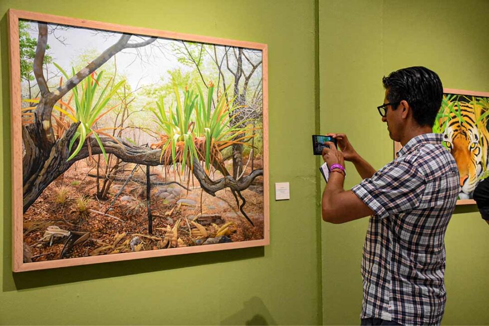 Oferta permanente de arte en Mérida - Cultura Yucatan A.C.